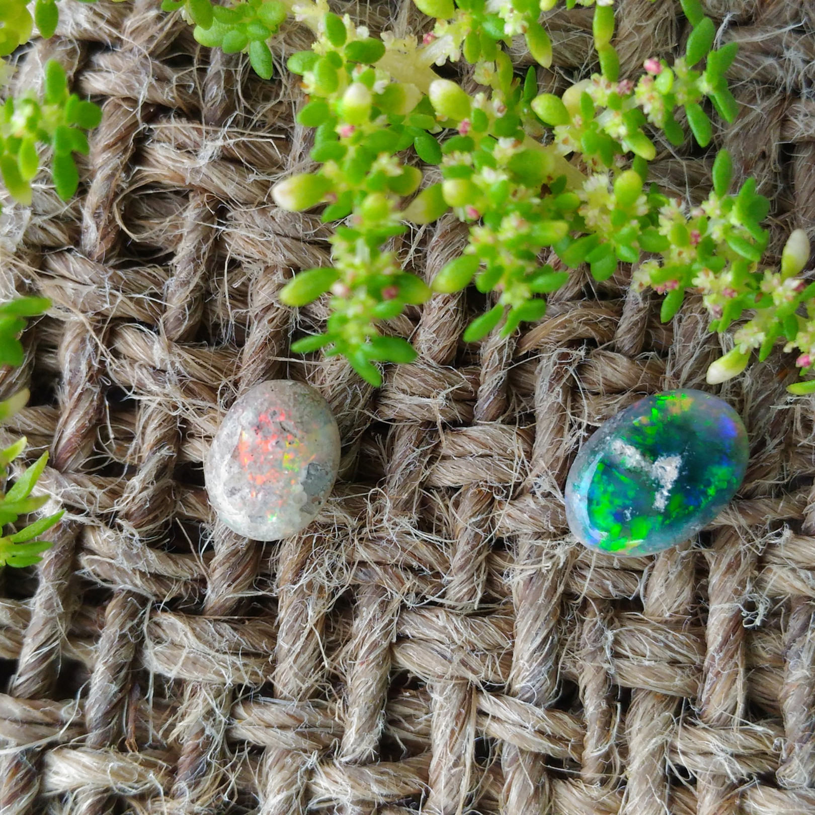 Where Is Opal Found? 3 Places Around The World