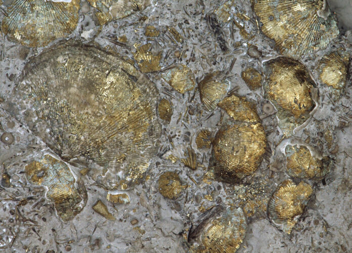 What is Pyrite used for? - Neocrystals : Everything about Crystals and ...