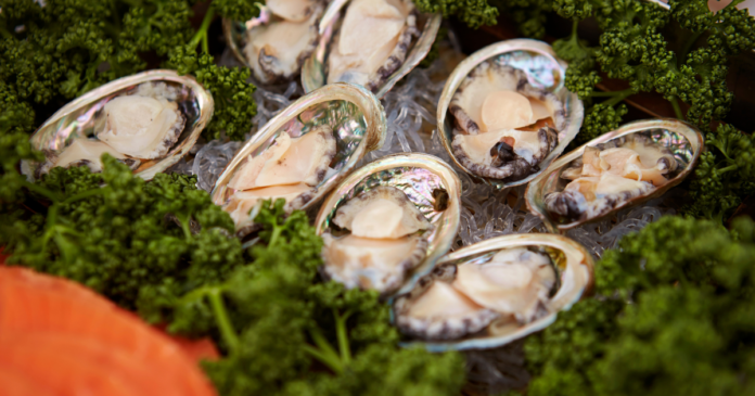 Abalone Meaning: Healing Properties, Benefits and Uses