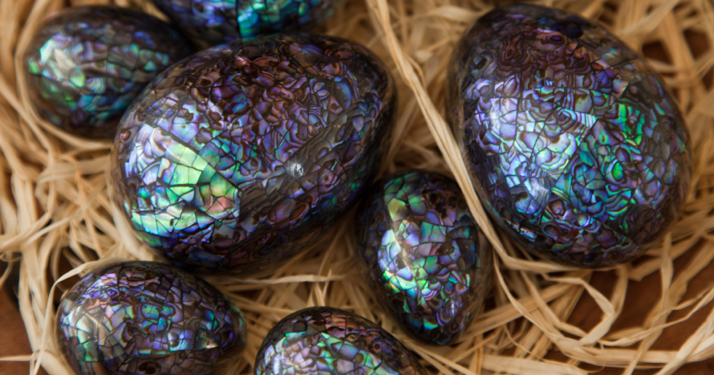 Abalone Meaning: Healing Properties, Benefits and Uses