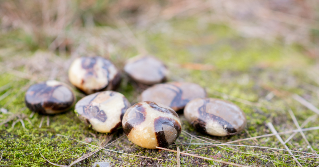 Septarian: Meaning, Healing Properties, Benefits and Uses