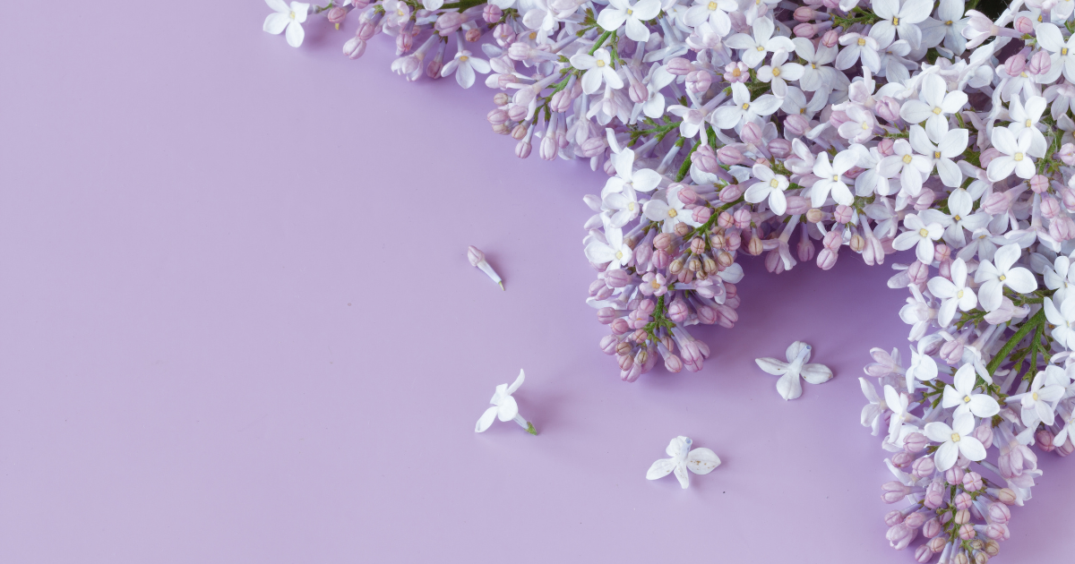 Lepidolite Crystal Meaning: Healing Properties, Benefits and Uses