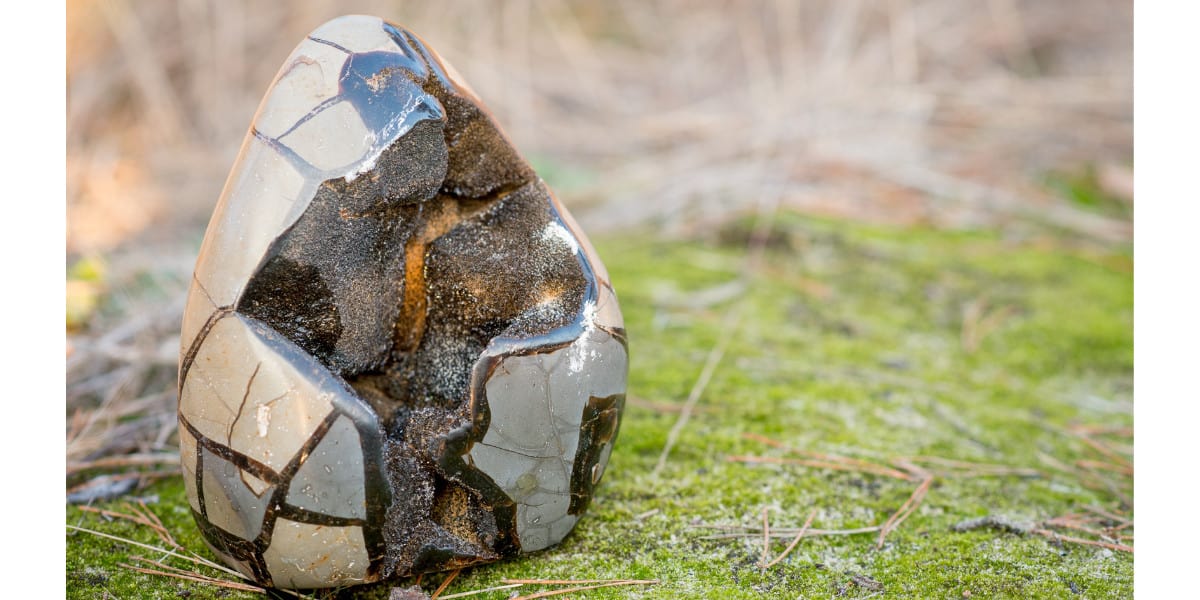 Septarian Nodule Meaning: Healing Properties, Benefits and Uses ...