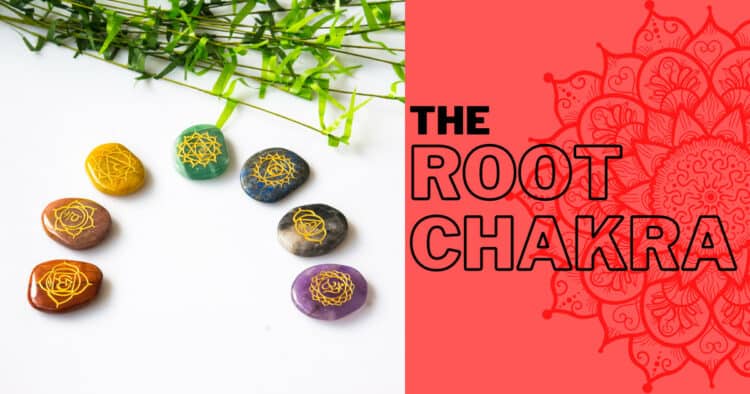 6 Best Crystals for Root Chakra And How To Use Them?
