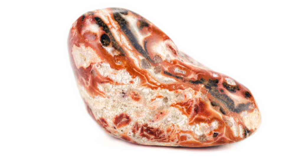 Leopard Skin Jasper Meaning: Healing Properties, Benefits and Uses