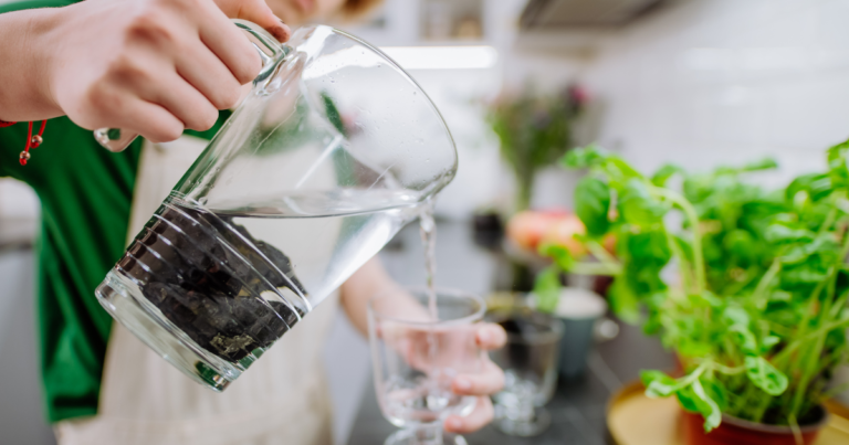Shungite Crystal Meaning: Healing Properties, Benefits and Uses