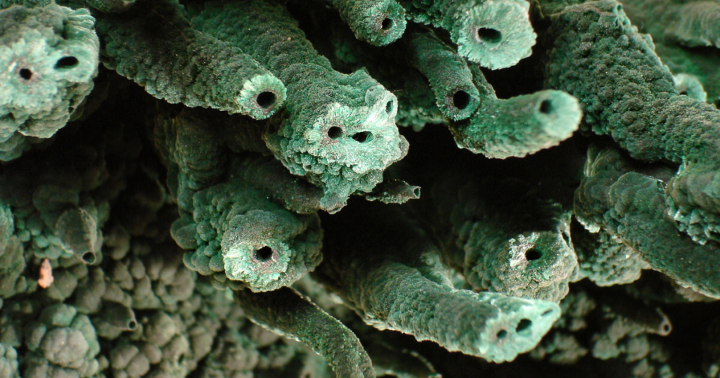 Euclase Meaning: Healing Properties, Benefits and Uses