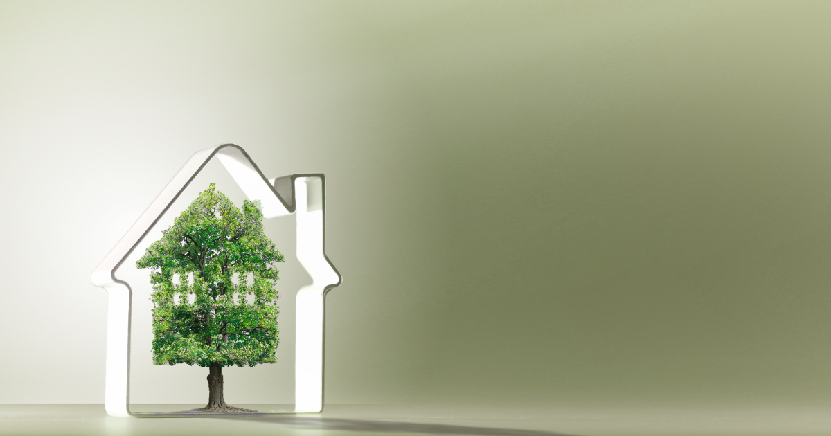 Tree Agate Meaning: Healing Properties, Benefits and Uses